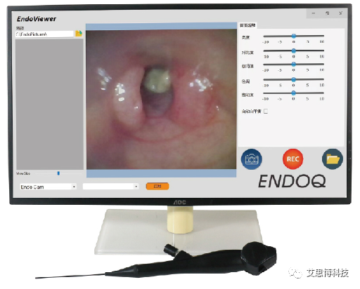 新品推荐 | ENDOQ 小动物内窥镜，无损伤，存活率高，消化研究首选！
